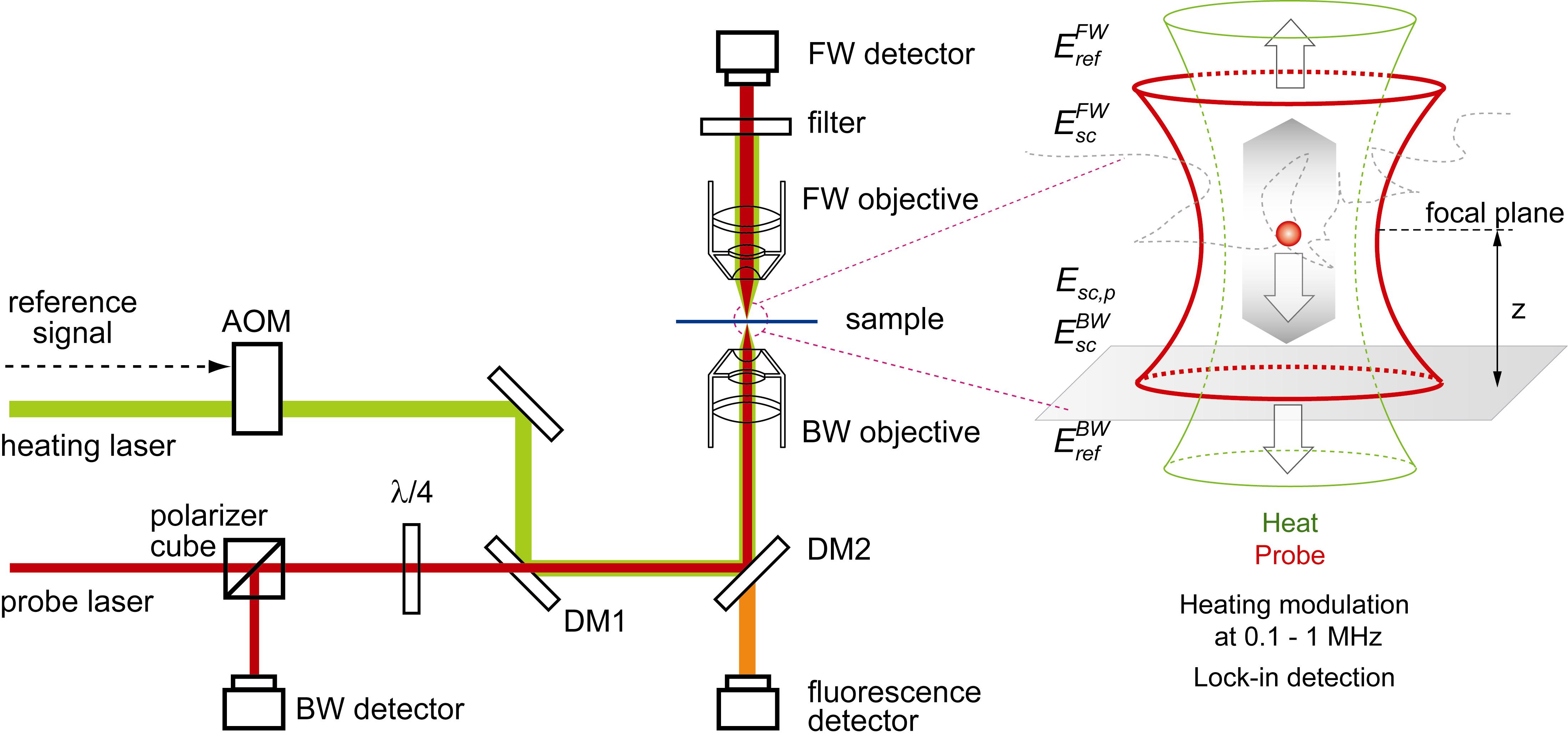 Photothermal microscopy – Single-Molecule Optics